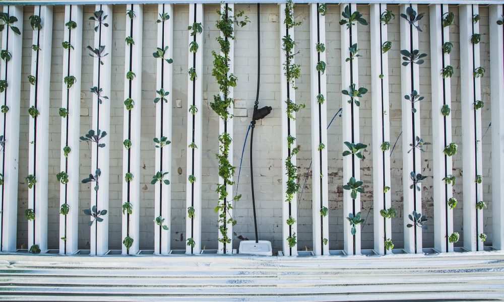 Planet Farms Closes €17.5 Million Financing Round