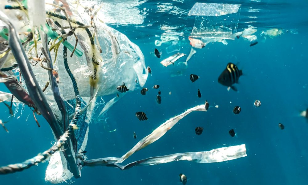 OceanEye: €50M EU Boost for Global Ocean Monitoring