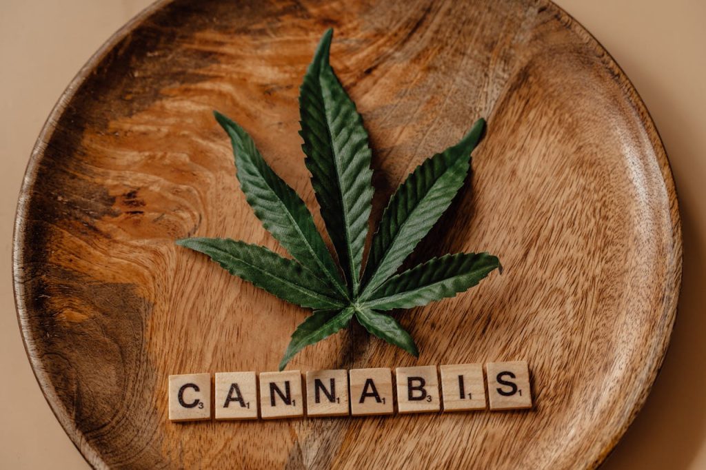 Global Cannabis Laws in 2026: A Fragmented Legal Landscape