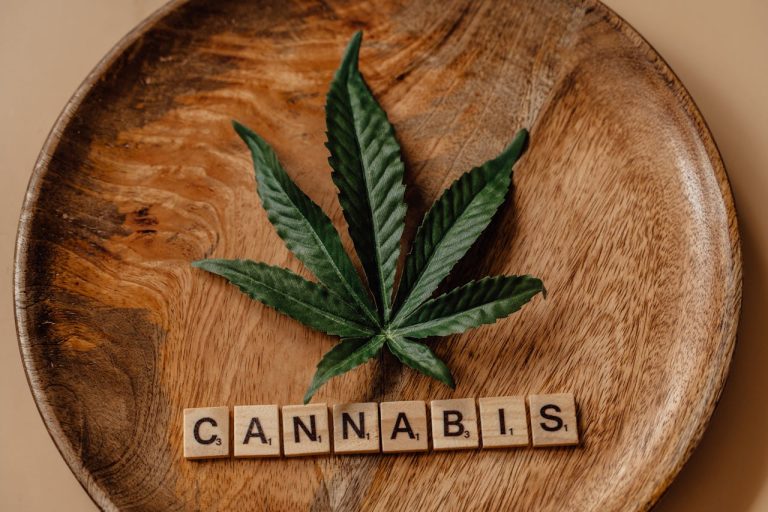 Global Cannabis Laws in 2026: A Fragmented Legal Landscape